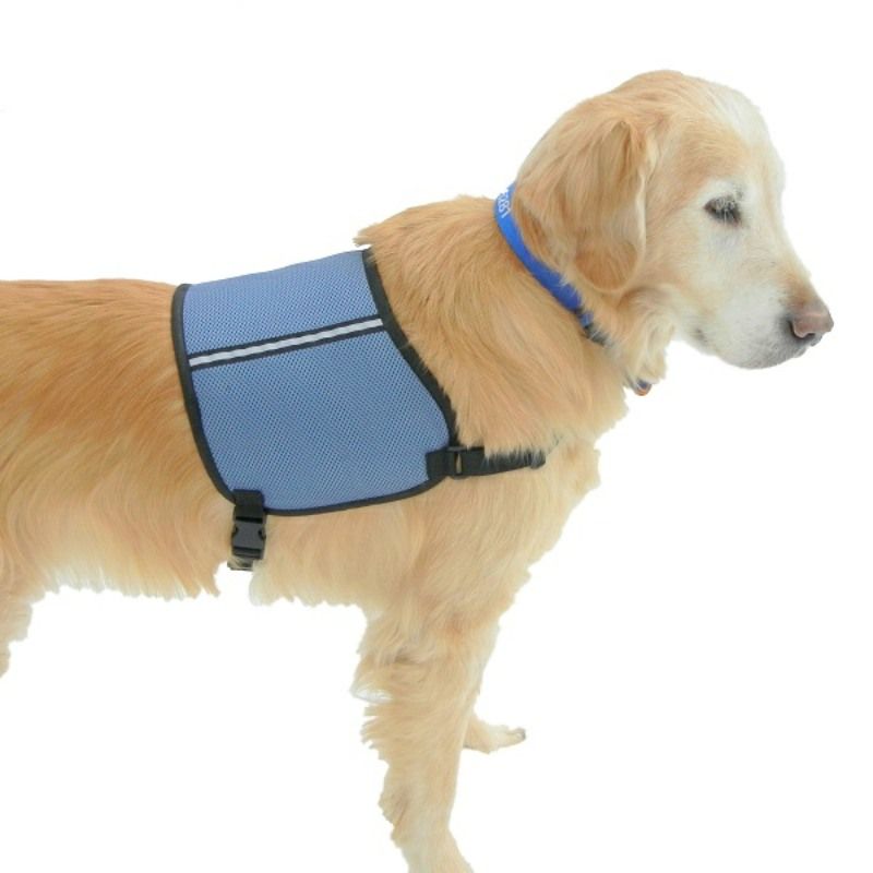 Steve Mozer (@smozer3) | Twitter