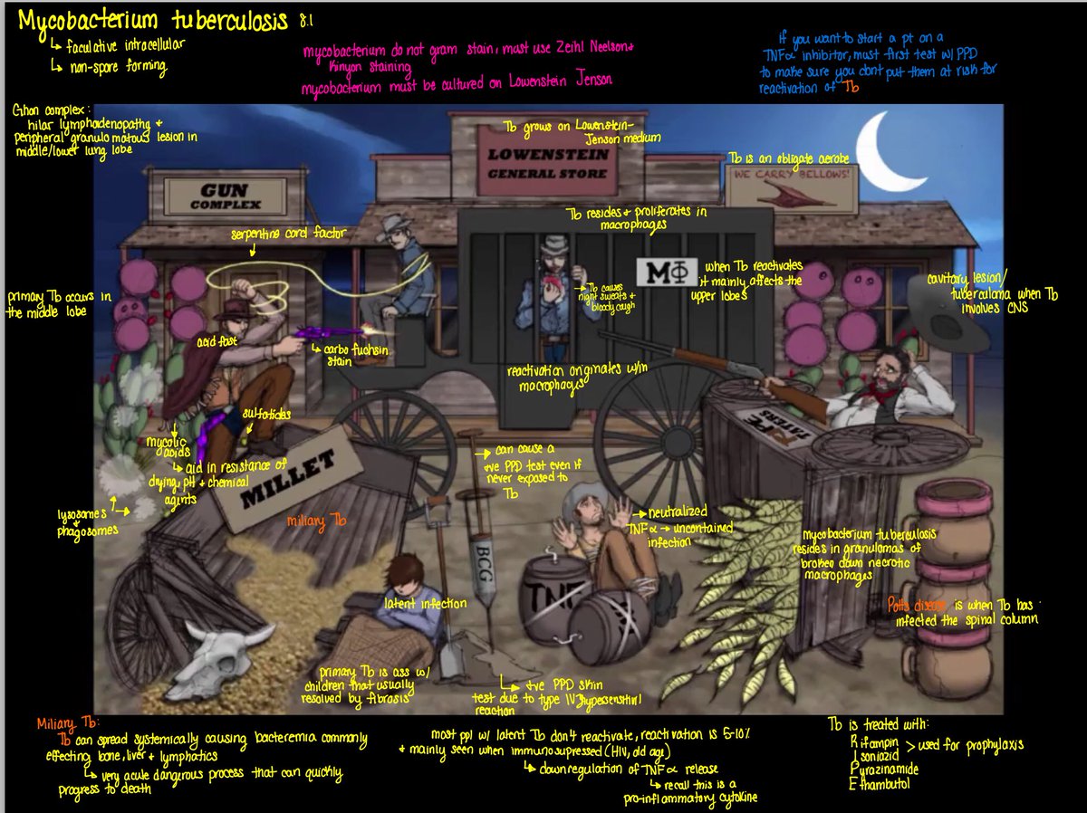 Sketchy micro youtube - lockerqlero