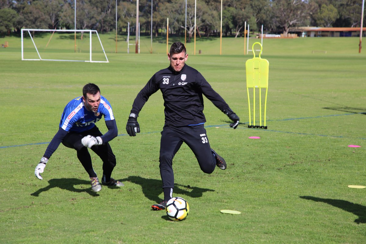Our men between the sticks have been working tirelessly in pre-season ...