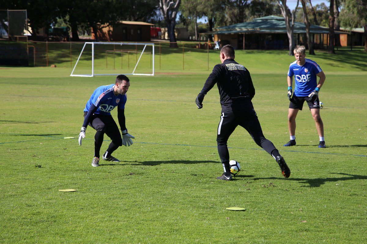 Danny Milosevic : sticks tirelessly pre season Danny Milosevic ...