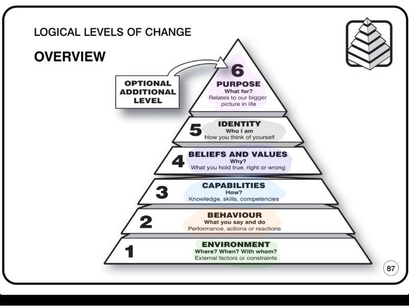 Coaching And Neurological Levels – Coach Karen Lau