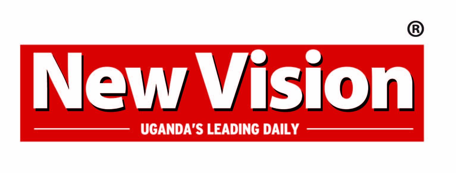 New Vision Logo New Vision Architecture