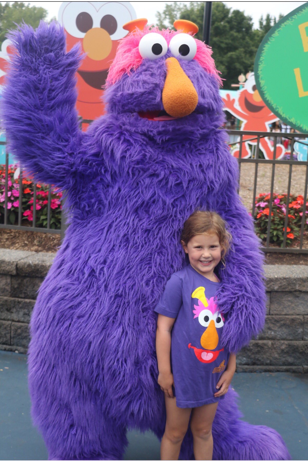 Sesame Street Characters Honker