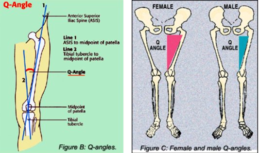 Q Angle Male Vs Female
