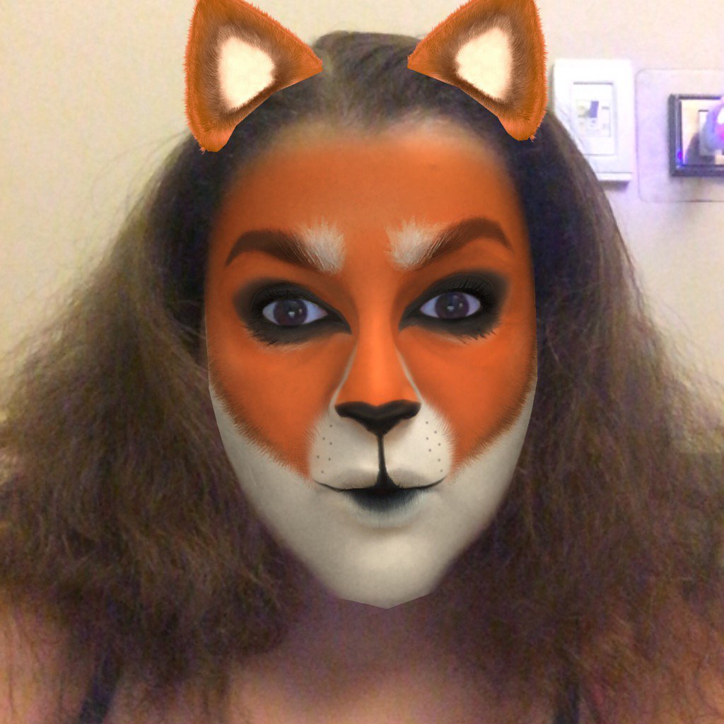 Fox Face Paint Ideas