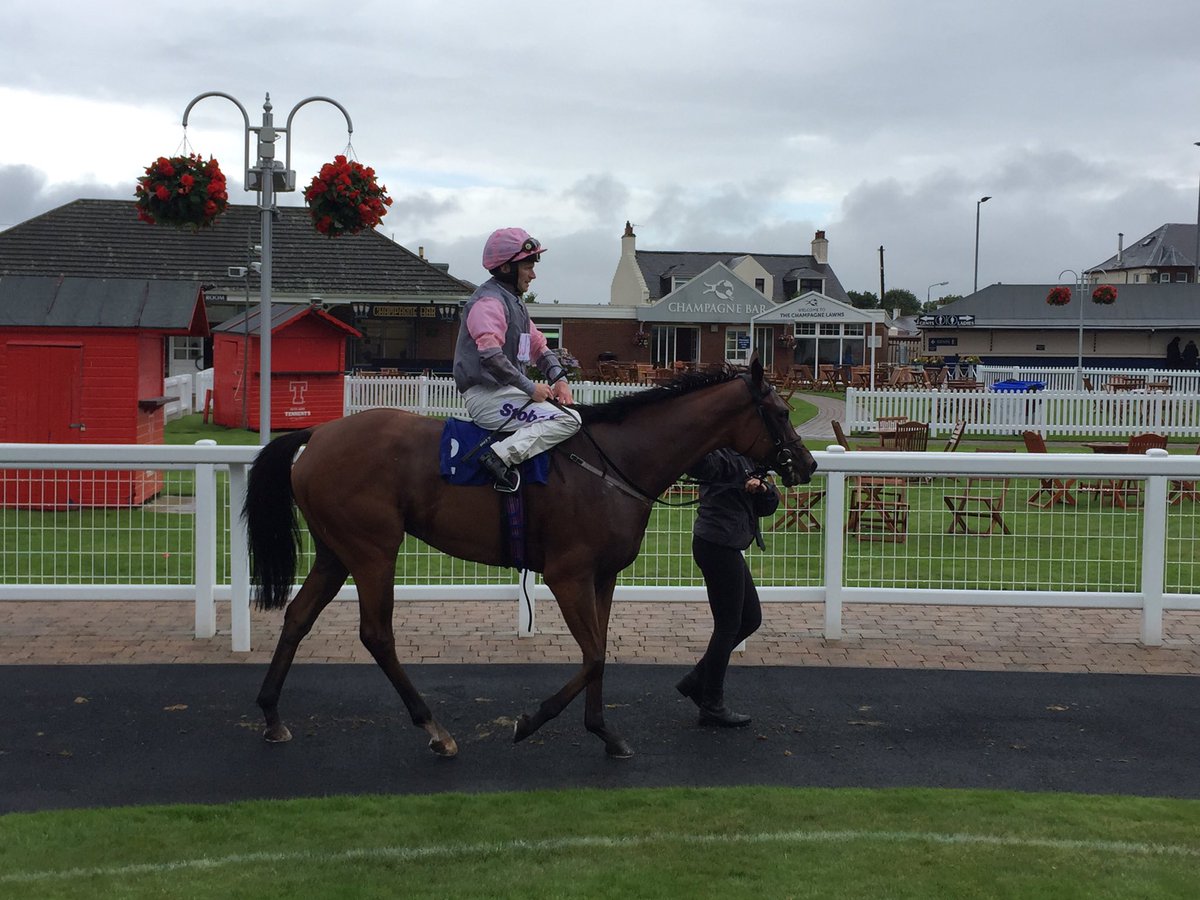 Monroe still making a mark at mares’ sale – thebreedingshed