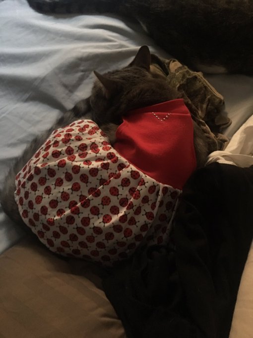 TW Pornstars - Ryankeely. Pictures and videos from Twitter. Page 4