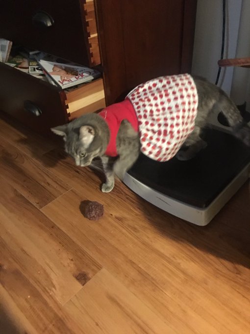 TW Pornstars - Ryankeely. Pictures and videos from Twitter. Page 4