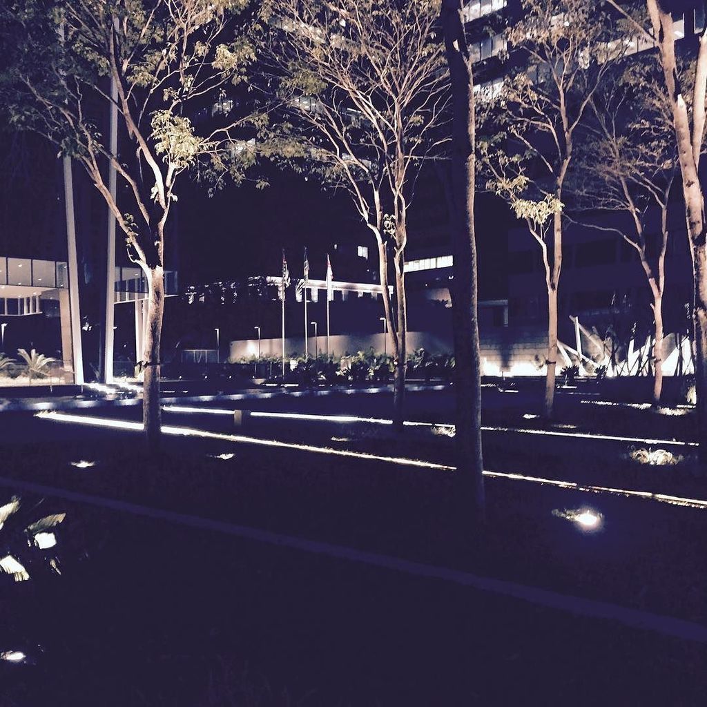 Nohan Ribeiro (@nohan10) | Twitter