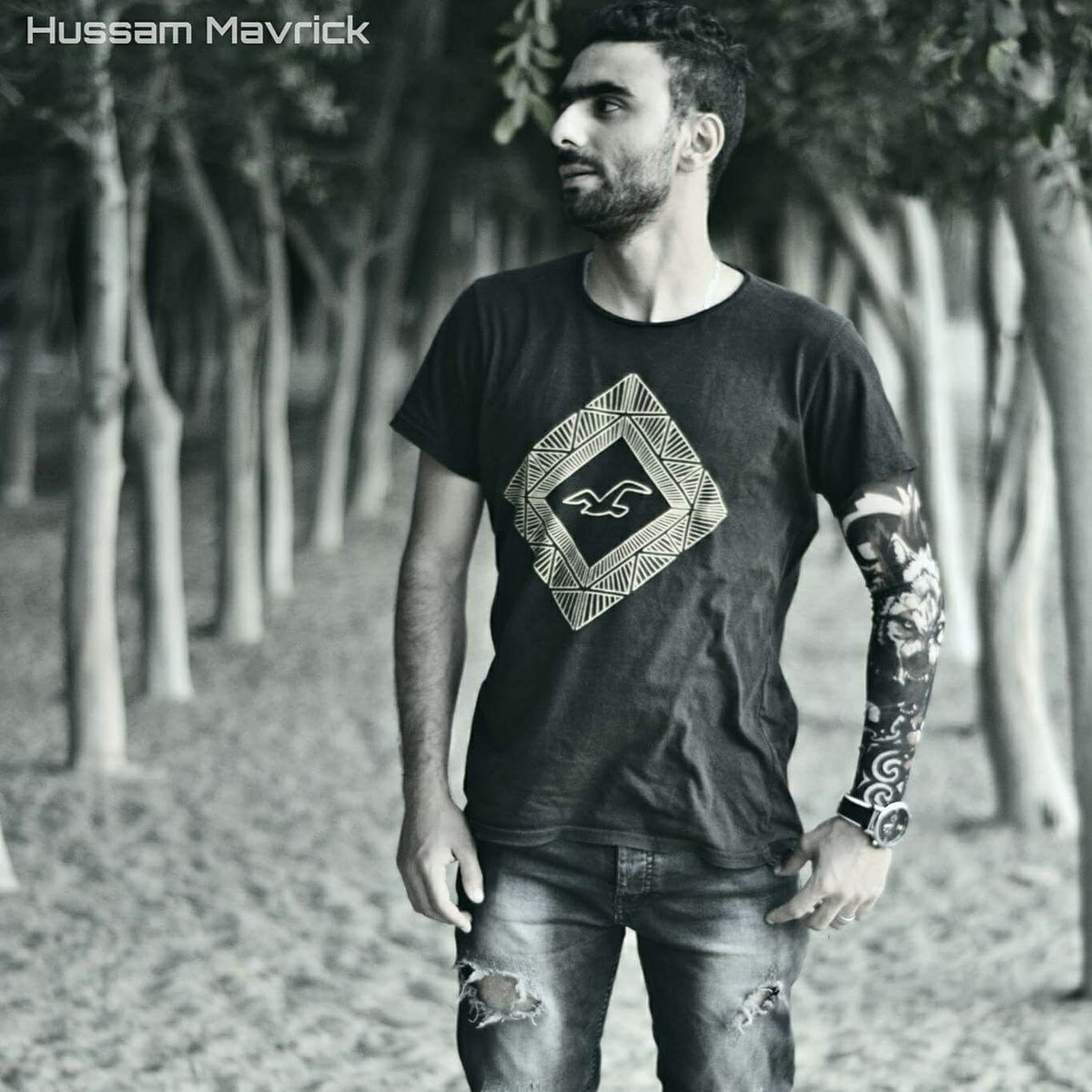 Mo mustafa (@Momustafa77) | Twitter