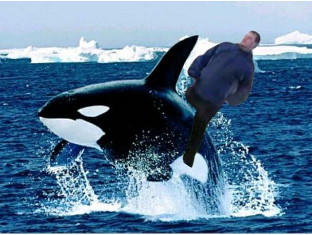Person Riding A Whale