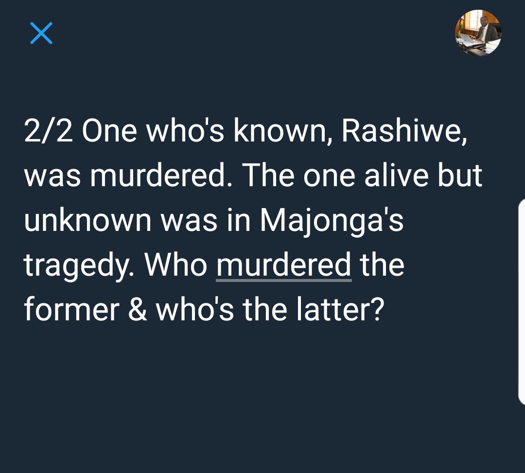 Rashiwe Guzha Murder : Jonathan Moyo Fingers VP Mnangagwa - The ...