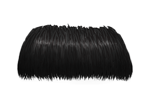 Hitler Mustache Transparent