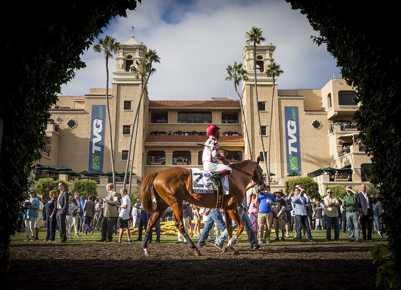 Alex Evers on Twitter: "Collected gets the perfect gate to wire trip in the @TVG Pacific Classic…