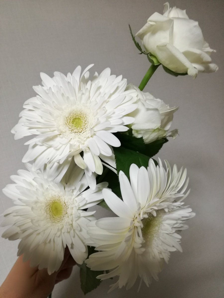 EXTRA!!!(@EXTRA_OFFICIAL) - Twilog (ツイログ)