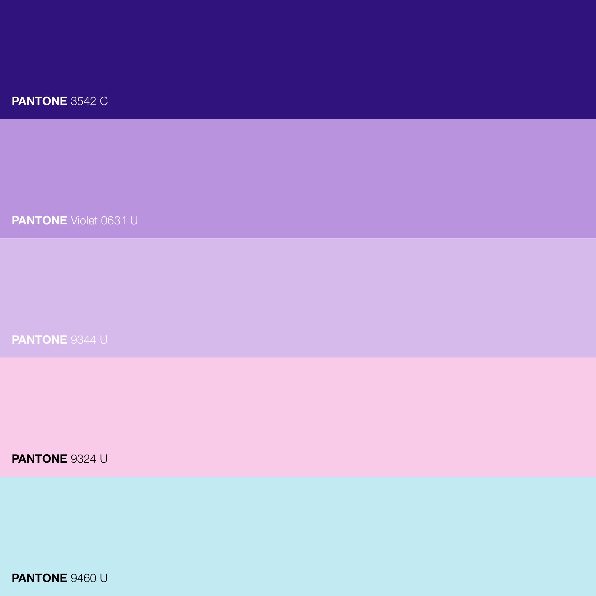 Pantone Violet C