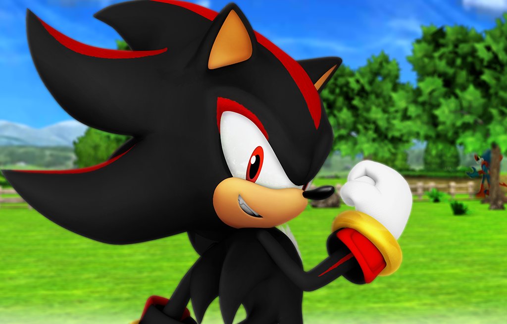 Shadow The Hedgehog Smiling Sonic X