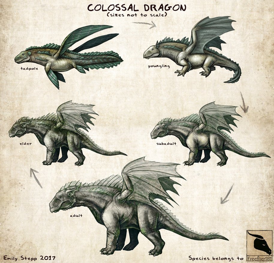 Dragon Life Cycle