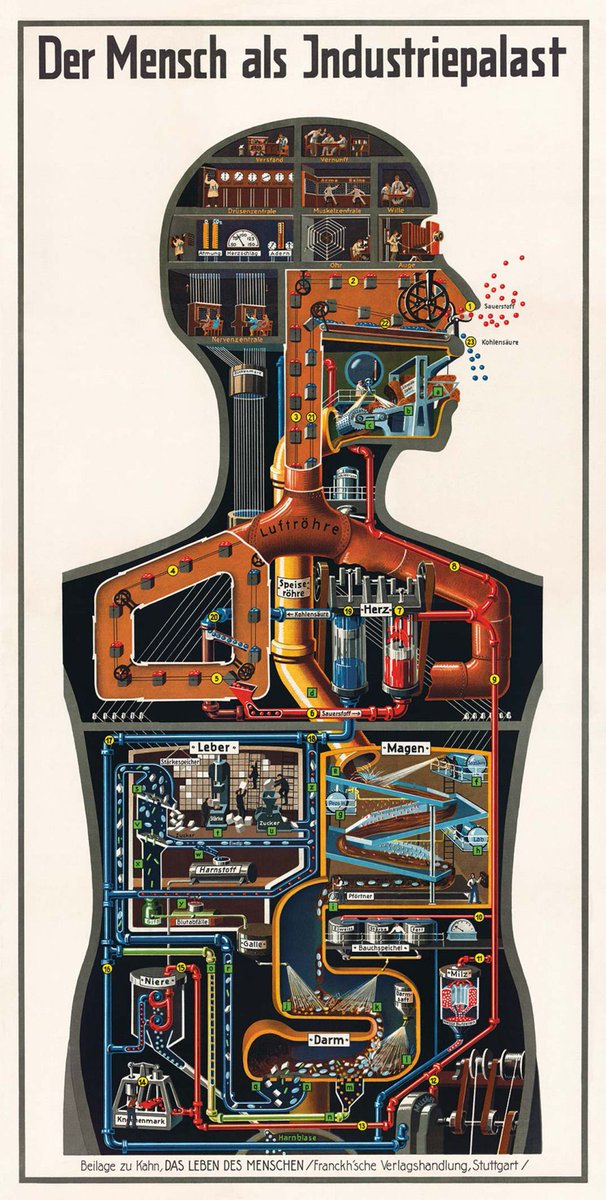 Fritz Kahn, pioneer of infographics. Exhibition image factories ...