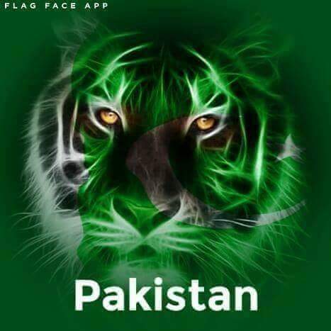 Green Pakistani Lion