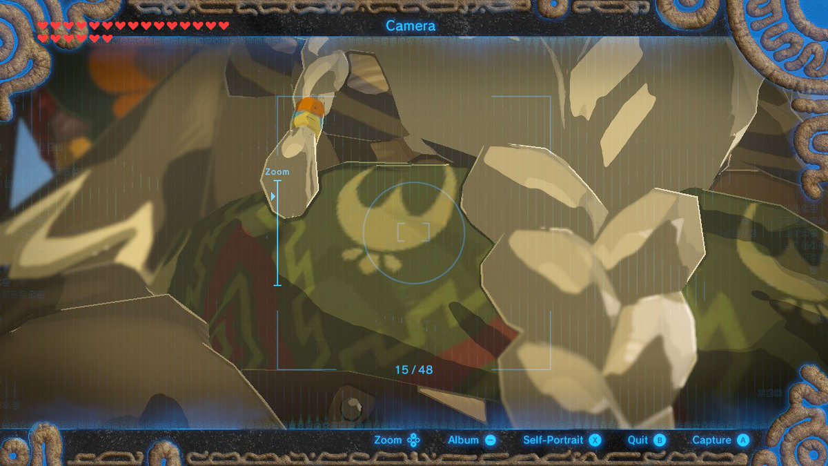 On BotW Rito and Symbols (AKA, another Loftwing descendants discussion ...