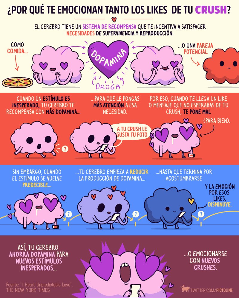 Dopamina No Cerebro Amor La Química Del Amor: Se Ama Con El Cerebro,