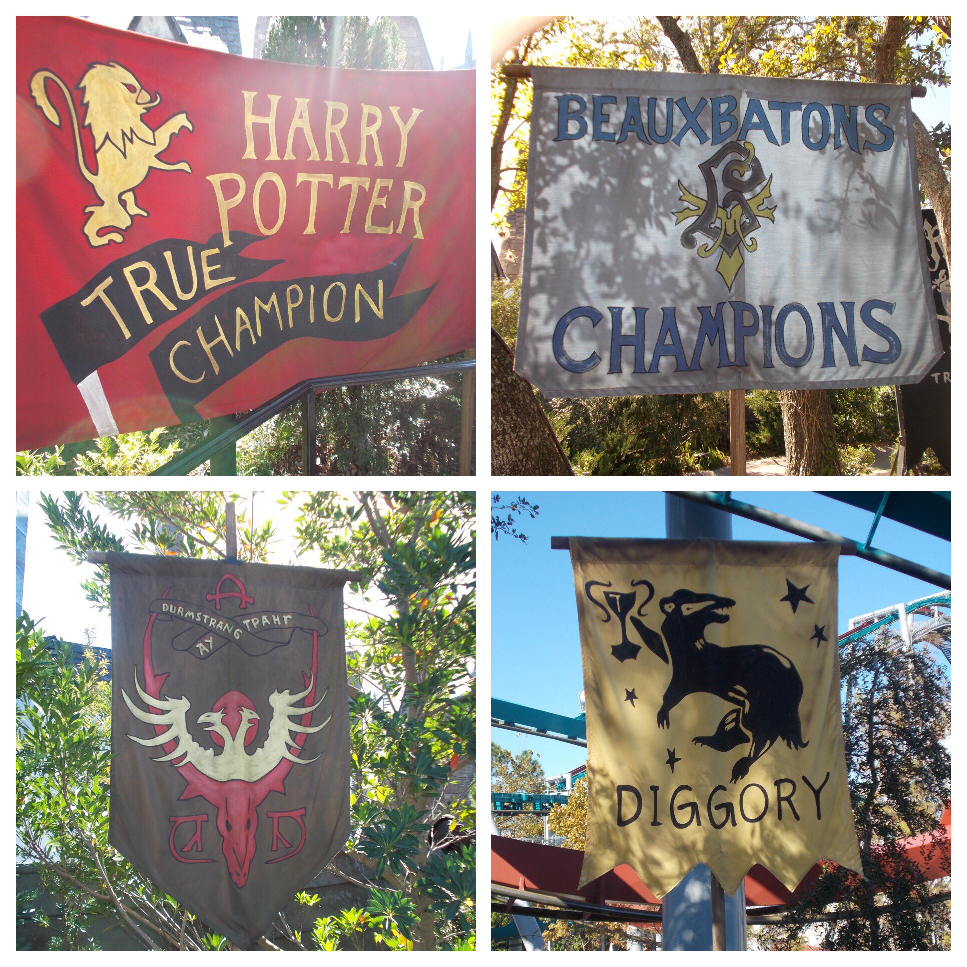 Triwizard Tournament Champions