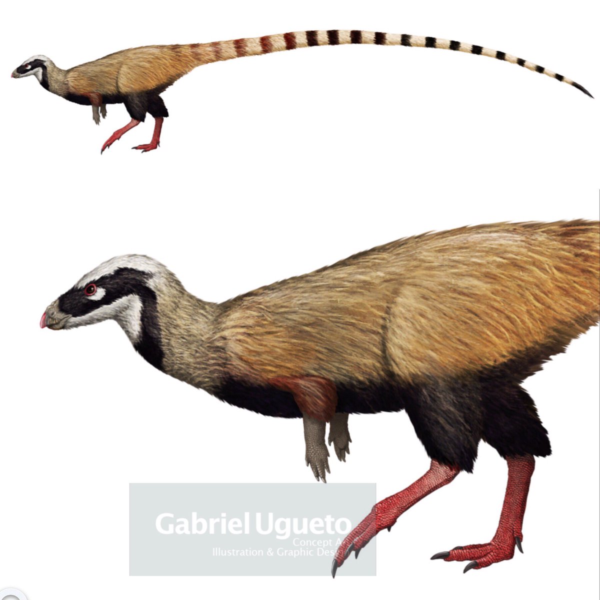 Anyone else heard or remembers the story behind this dinosaur's name ...