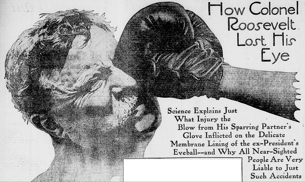 Teddy Roosevelt Boxing