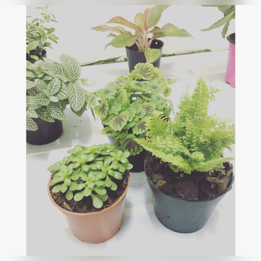 TABTIM (@TsTabtim) | Twitter