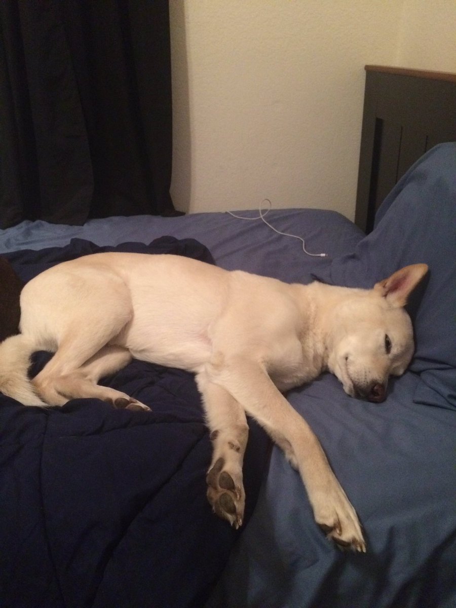 Devyn Bernal (@DevynBernal) | Twitter