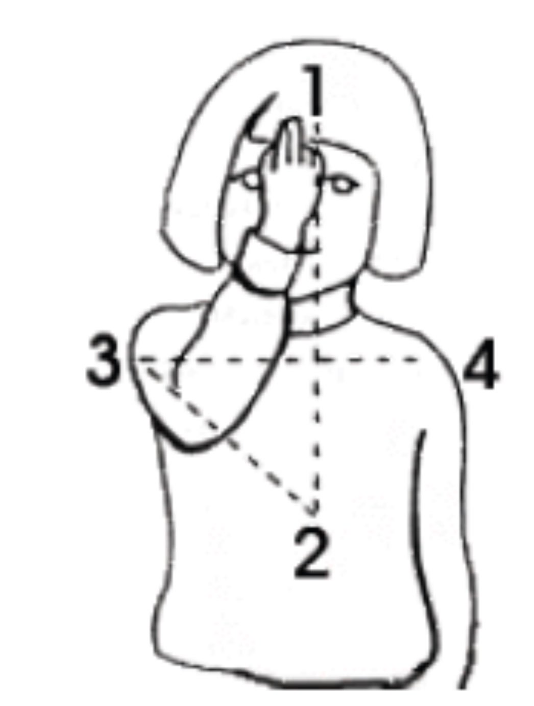 Persignarse Memes Livro De Tristan E Livro De M Erlin