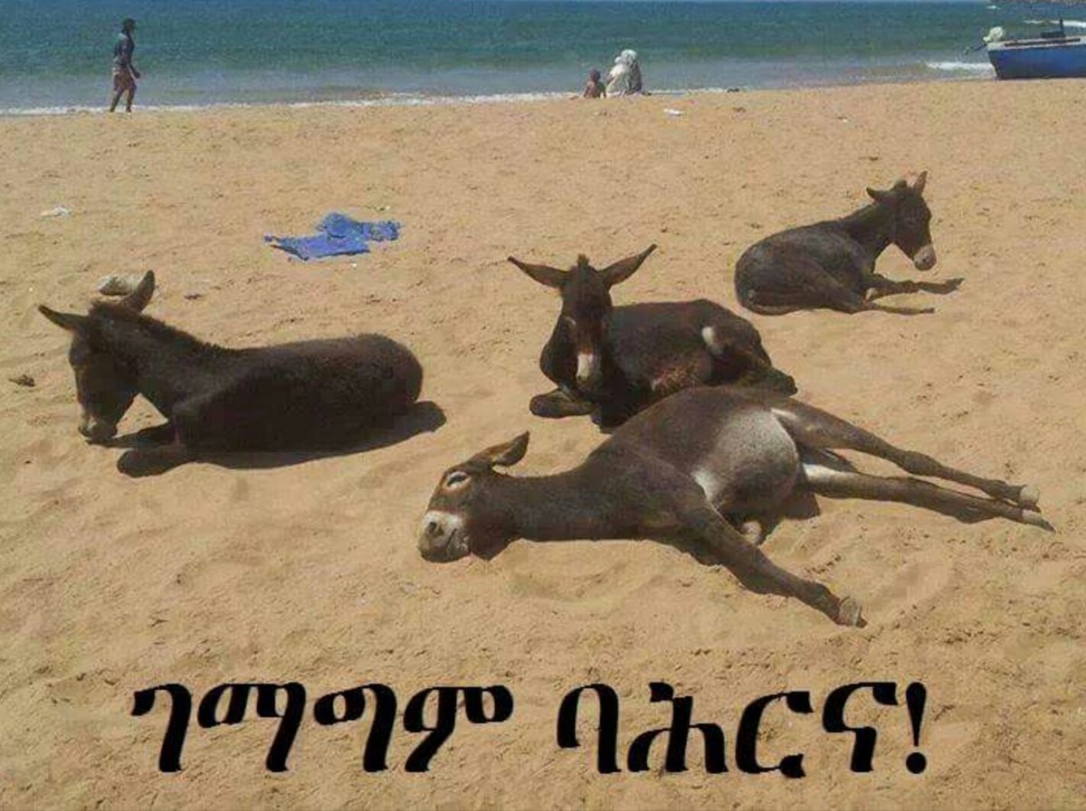 Aida Kidane on Twitter: "… https://t.co/W60lY0oq23"