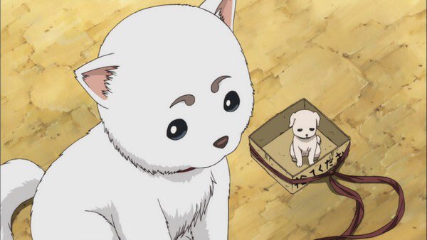 This is the saddest moment in Gintama. Change my mind. : r/Gintama