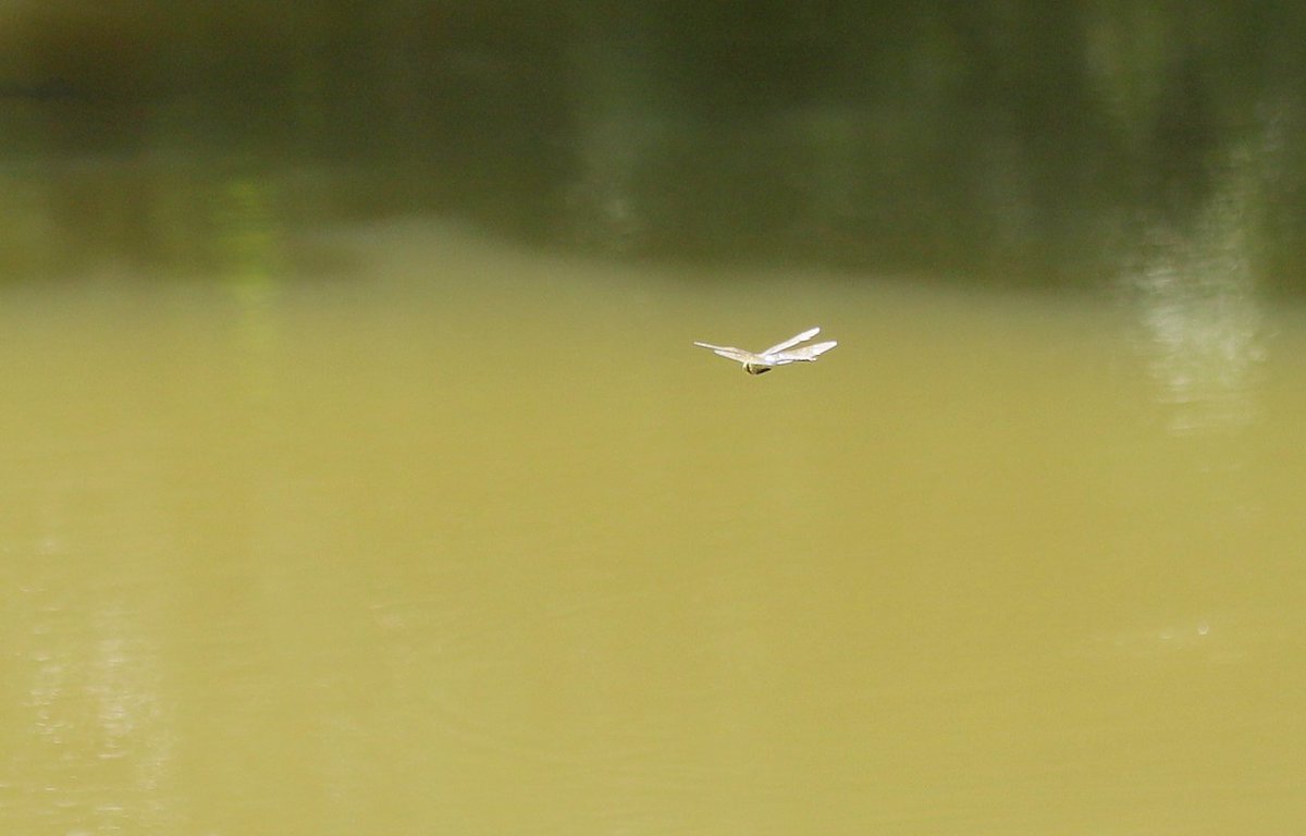 Sin_sin719 (@Sinsin719) | Twitter