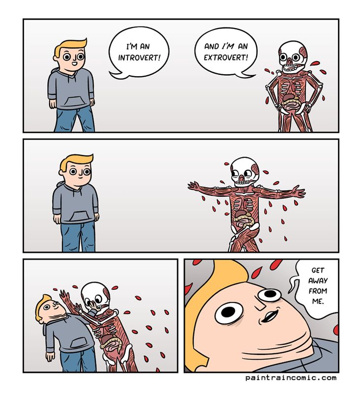 Introvert Vs Extrovert Comic