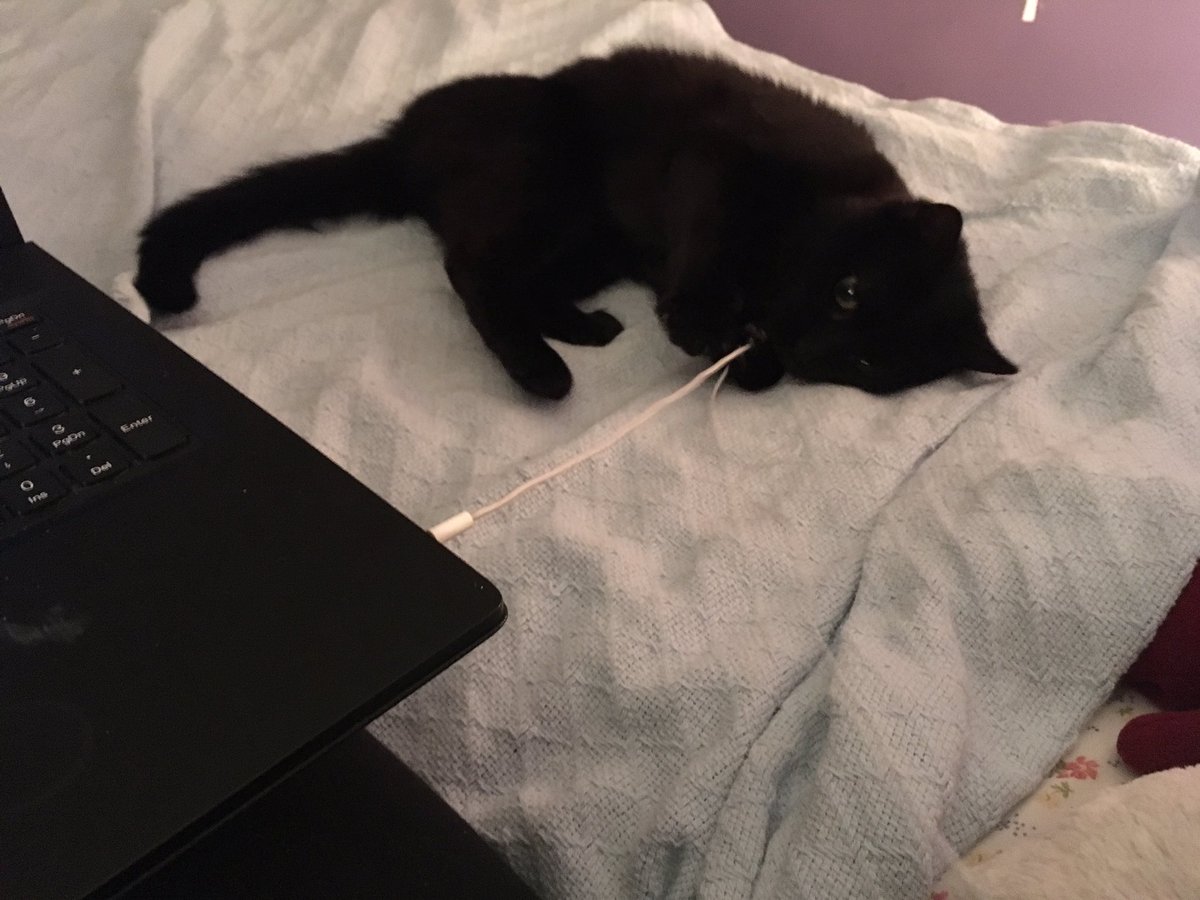 Ellen (@Ellen_melon3) | Twitter