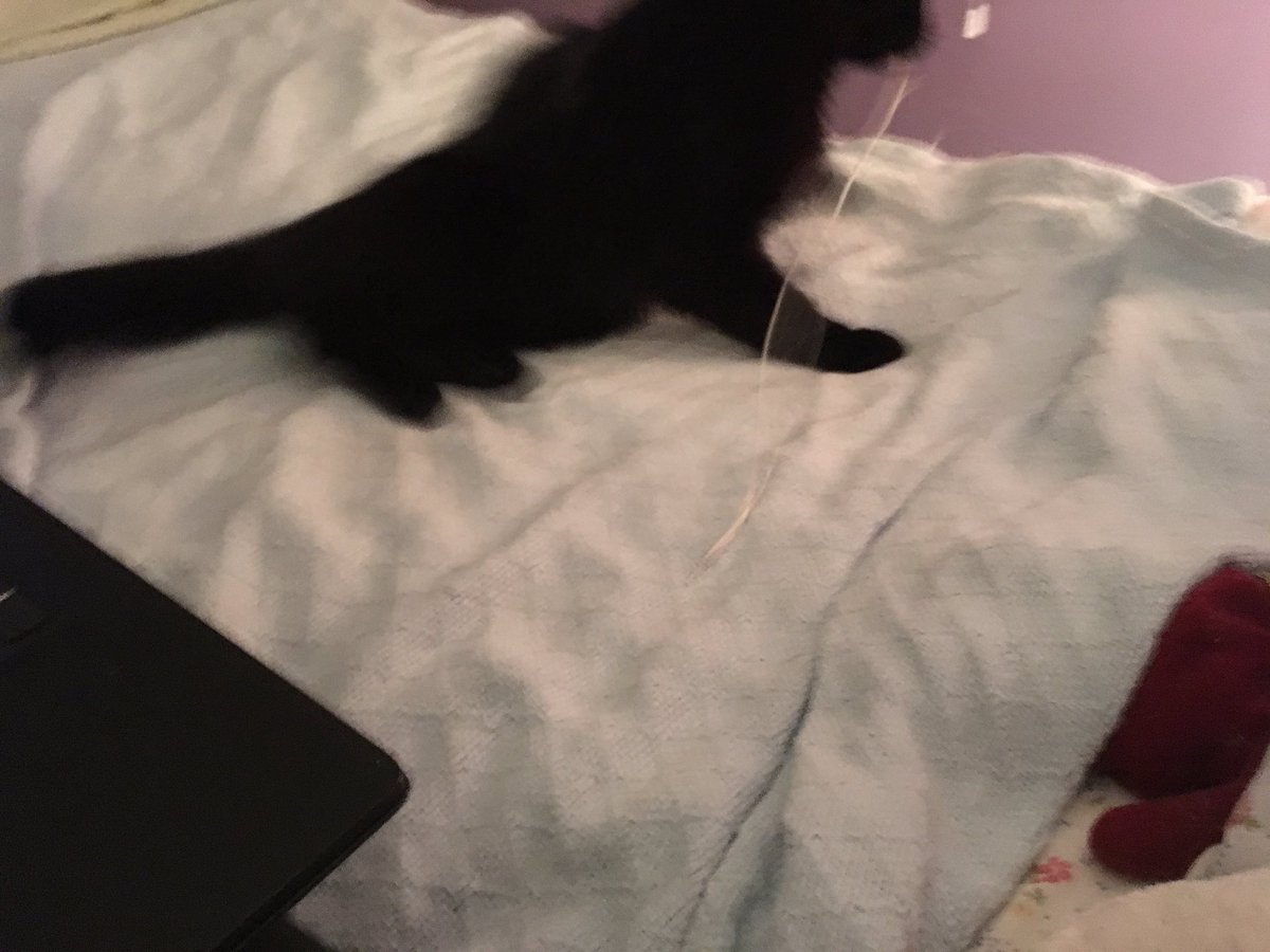 Ellen (@Ellen_melon3) | Twitter