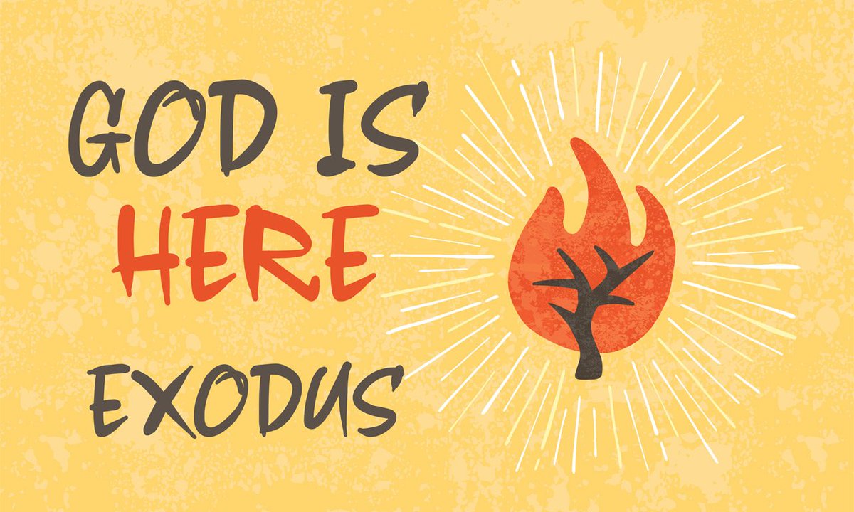 Hannah Ringler (@HannahRingler) | Twitter