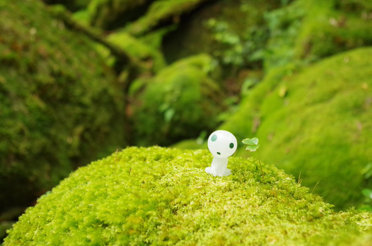 Sin_sin719 (@Sinsin719) | Twitter