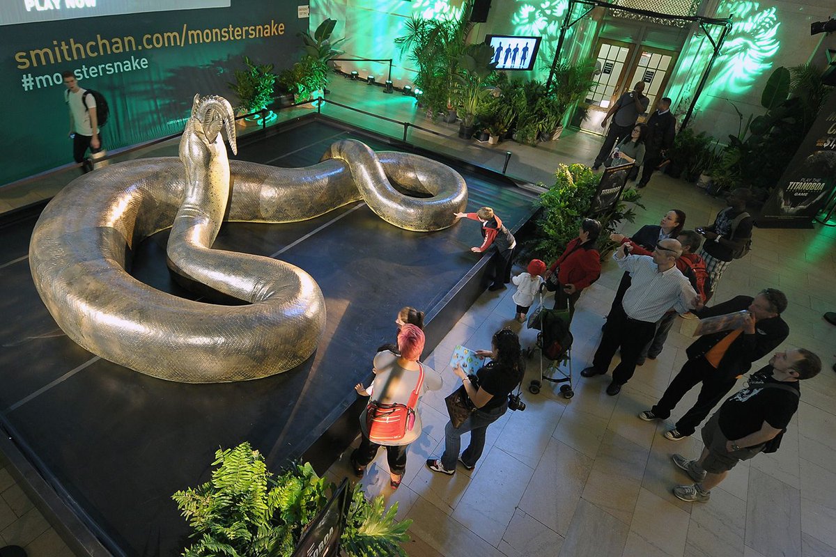 Titanoboa Vs Megalodon