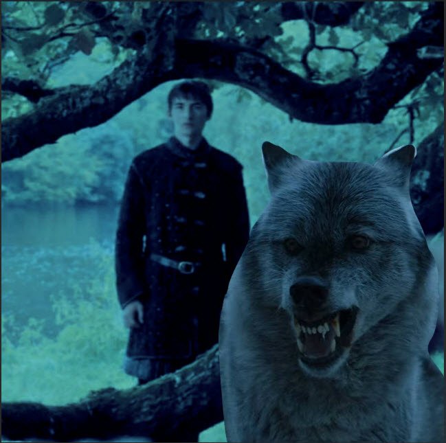 Bran Stark And Summer