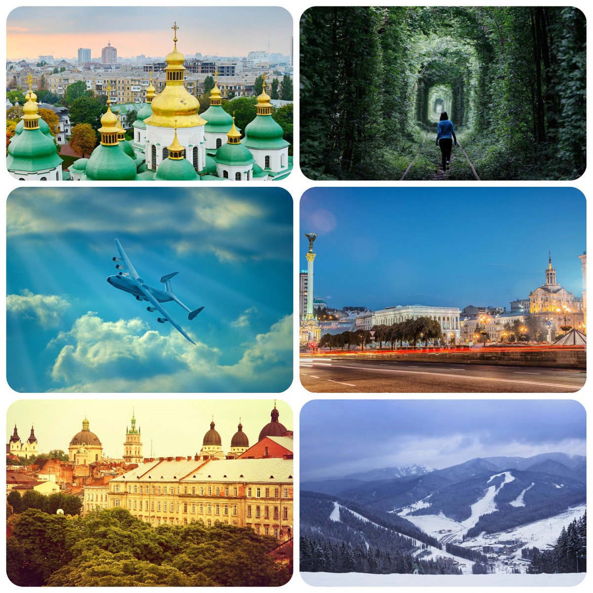 Olga Budnyk (@budnik_olga) | Twitter