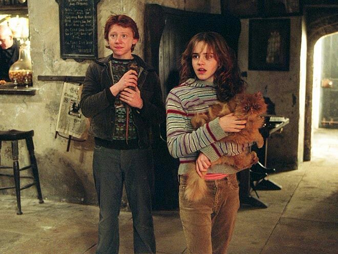 Crookshanks And Scabbers