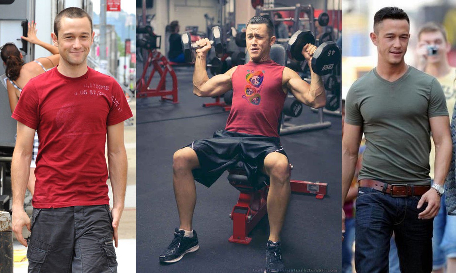 Joseph Gordon Levitt Muscle