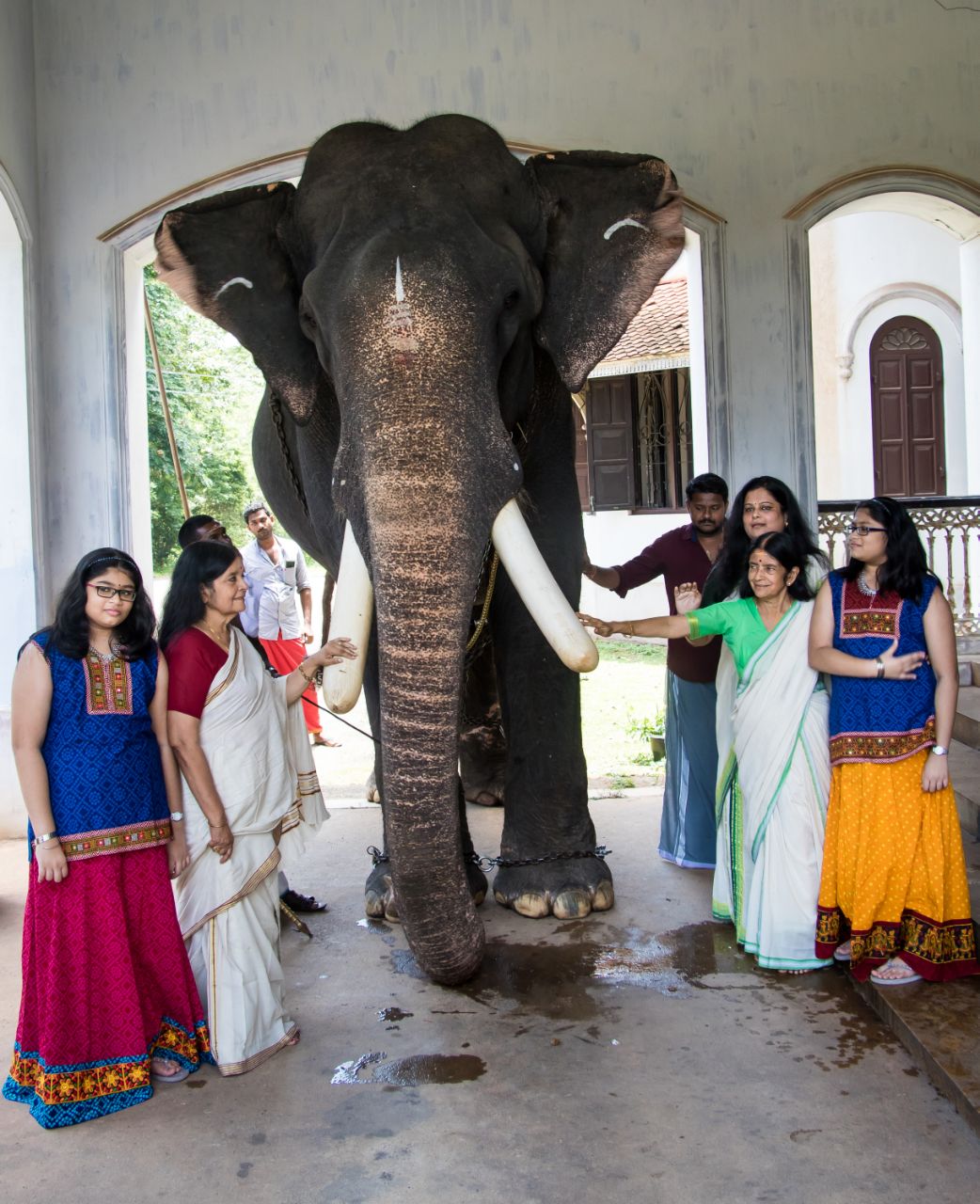 Kerala Elephant Pampady Rajan