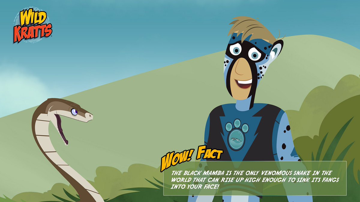 Wild Kratts Python | atelier-yuwa.ciao.jp