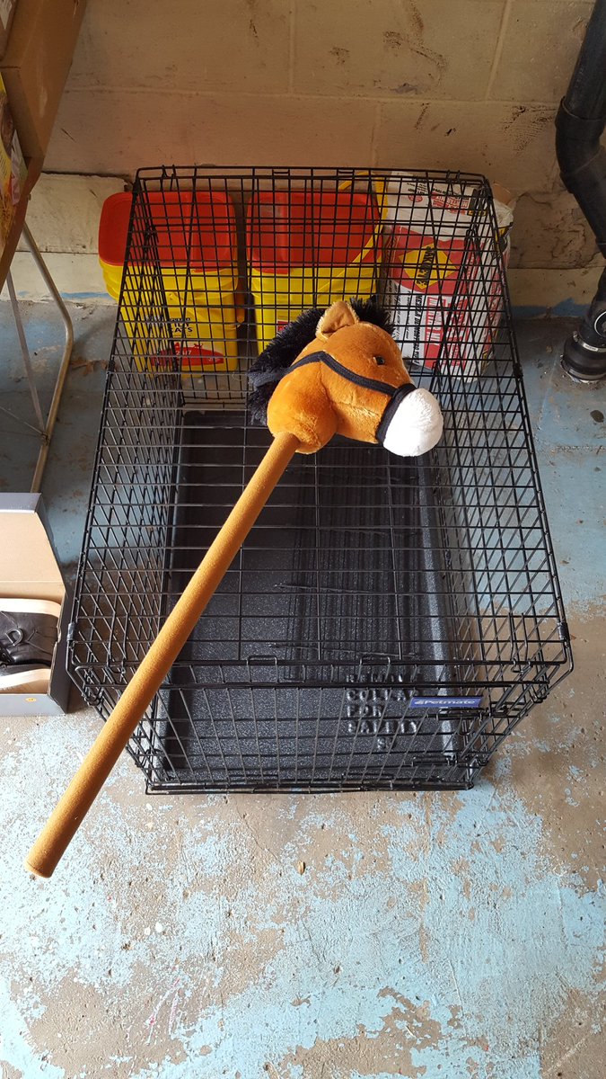 Dick Dangle On Twitter Looking For Some Goodies At Yard Sales Again