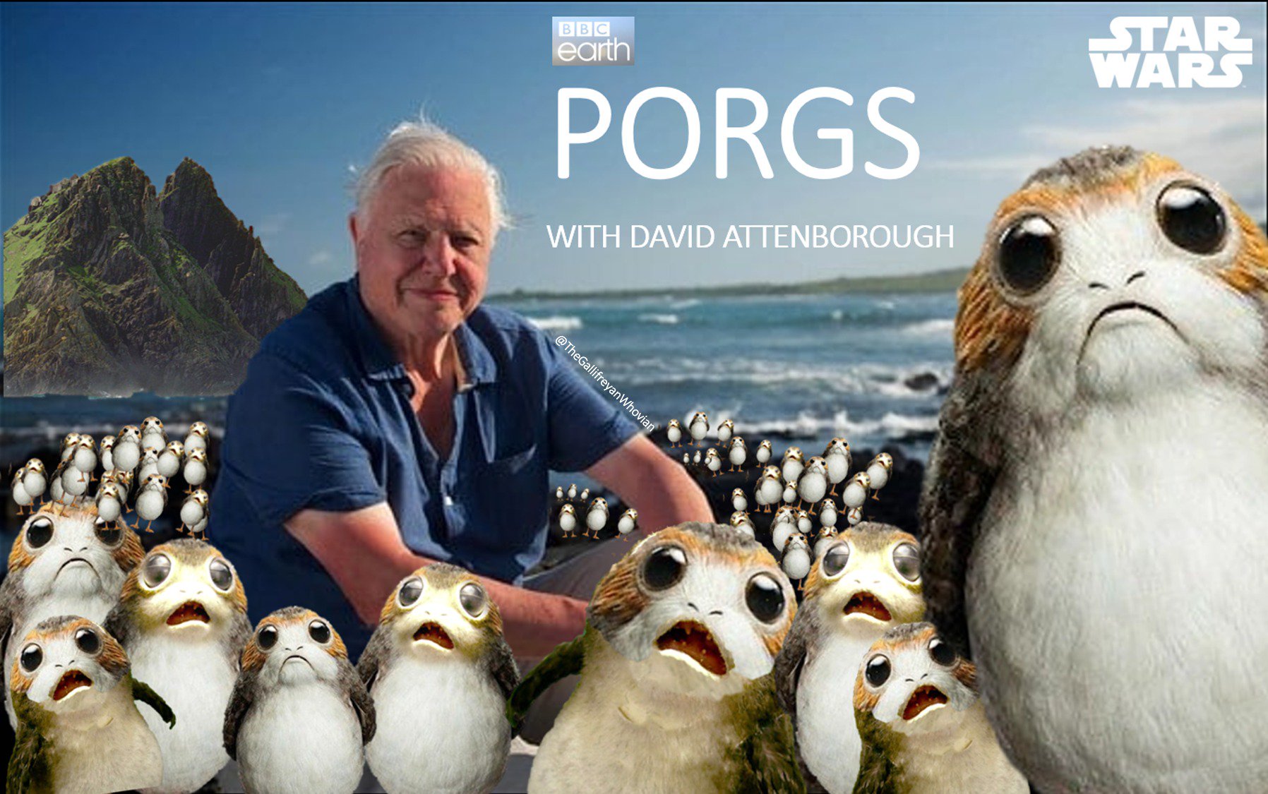 Official Porgs Episode VIII thread | Page 10 | The Cantina
