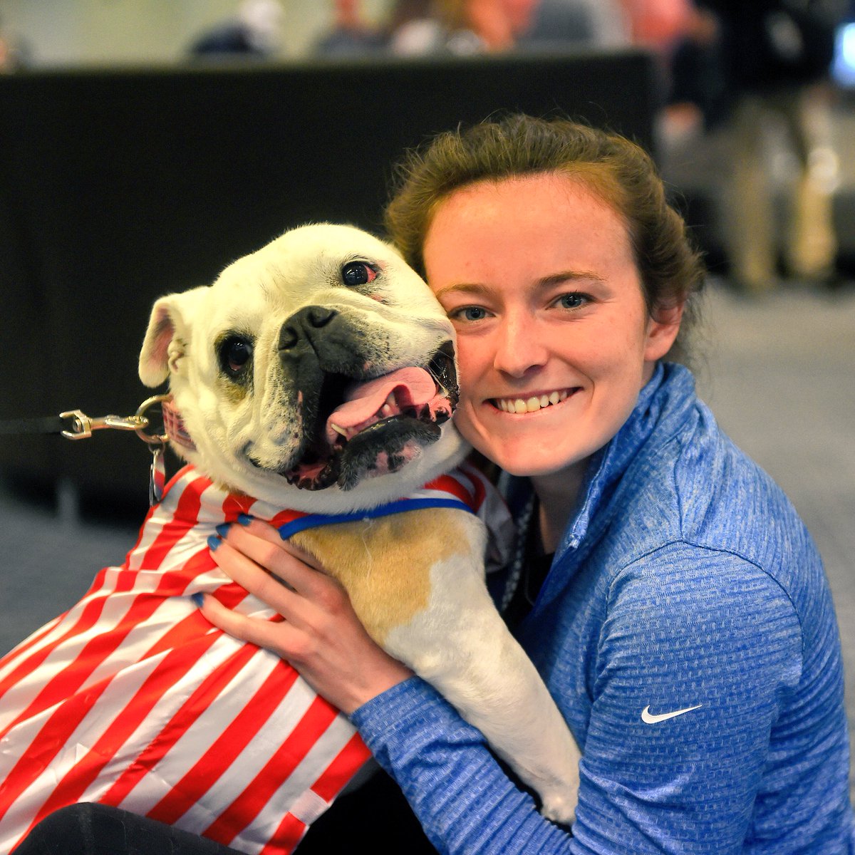 Stephen Sears (@sears_stephen) | Twitter